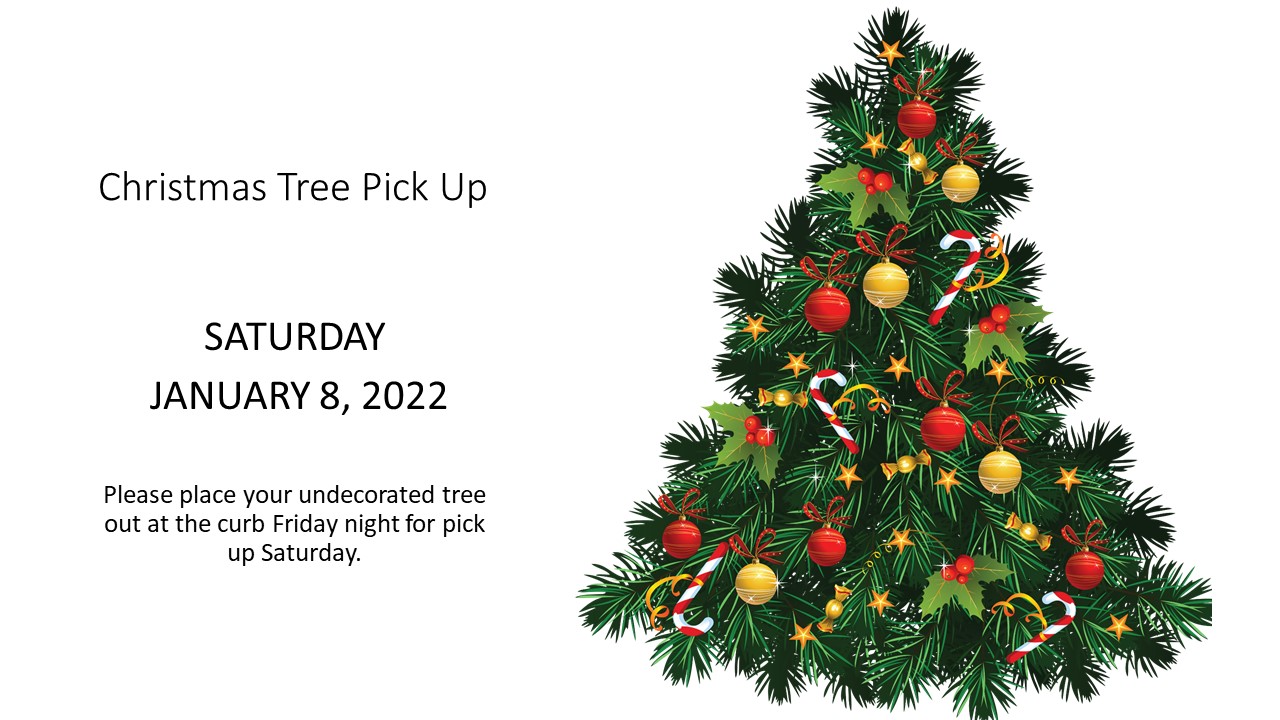 Christmas Tree Pick up - Borough of Collegeville